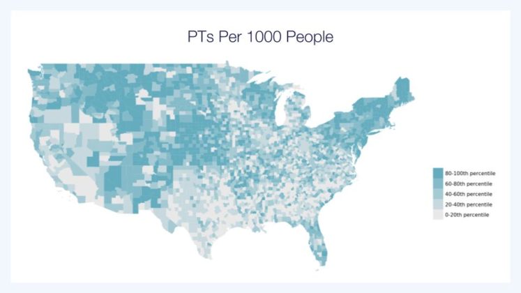 Telehealth Physical Therapy (PT) - Your Guide - The Non-Clinical PT